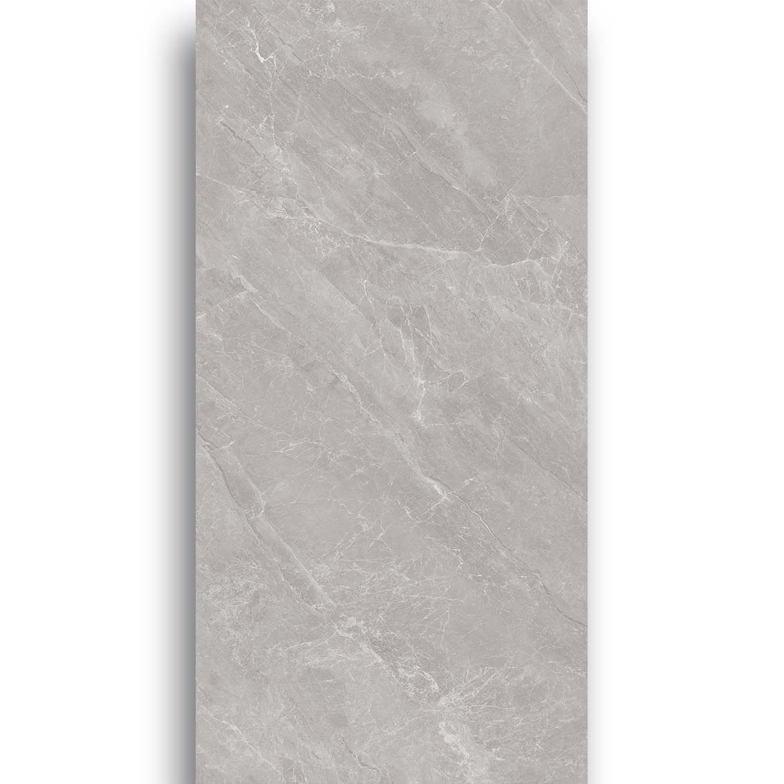 Venus Light Grey 600x1200